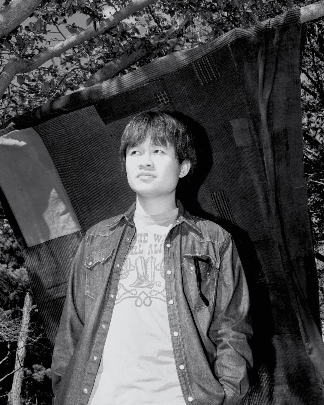 Chun | Dinodo Studio